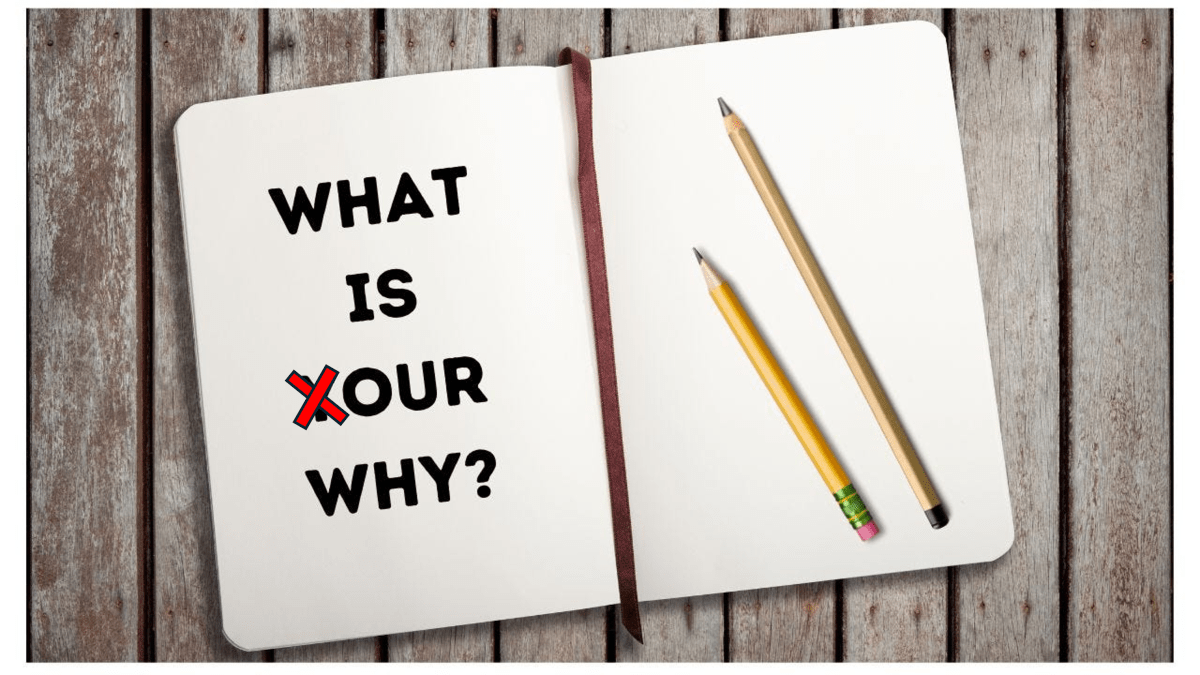 The WHY Factor | jodygreenwood